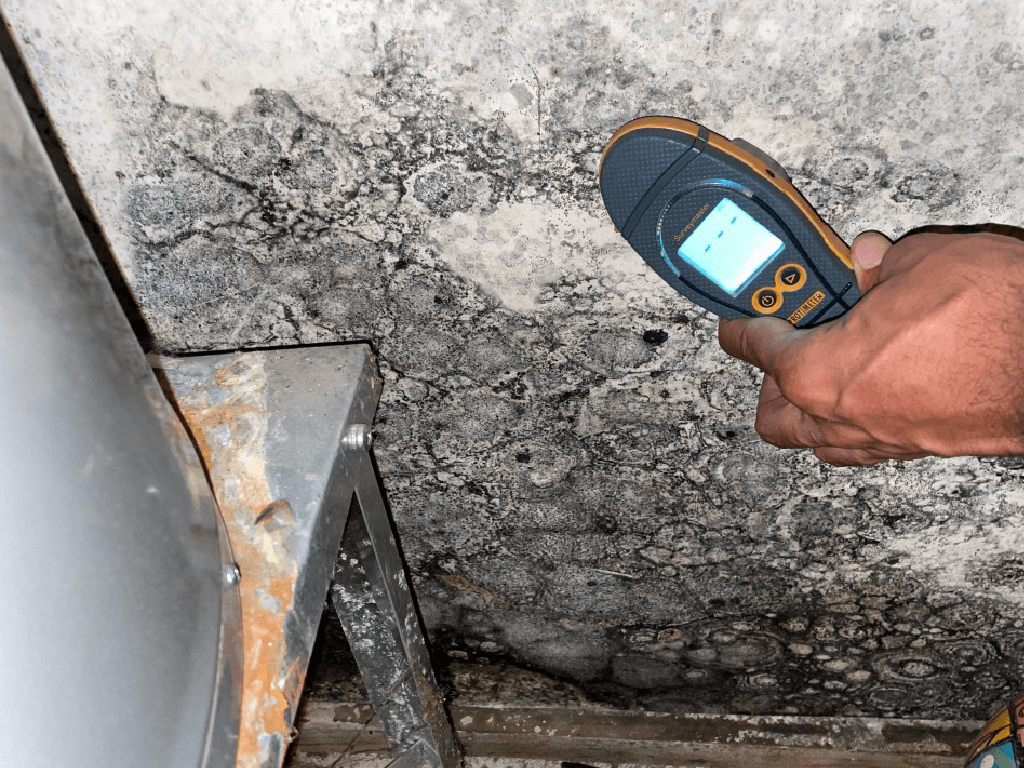 Mold Inspections in Central Florida | Tier-1 Pro Inspections